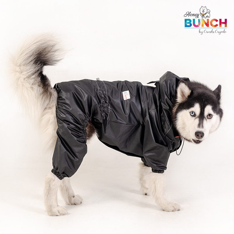 Impermeables para perros - Tienda HoneyBunch