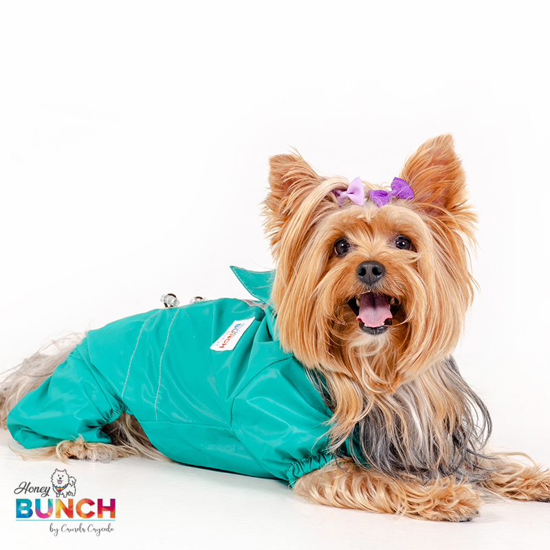 Impermeable enterizo - Verde turquesa | Tienda HoneyBunch