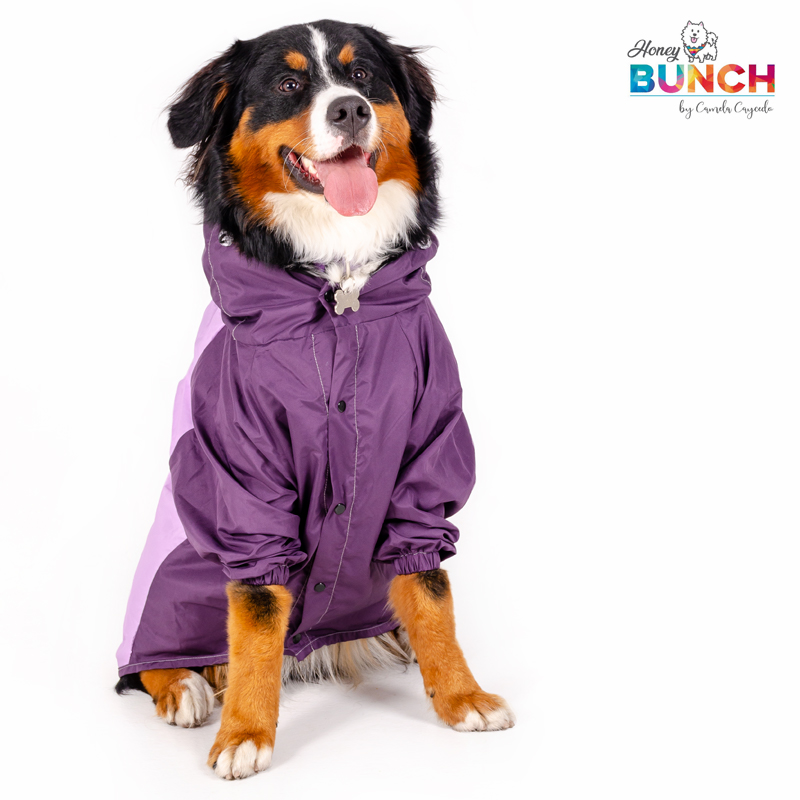 Cool Jacket - Morado y Lila | Tienda HoneyBunch