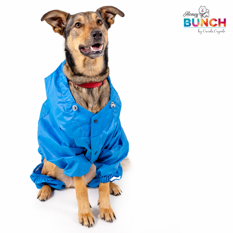 Impermeable enterizo - Azul cielo | Tienda HoneyBunch