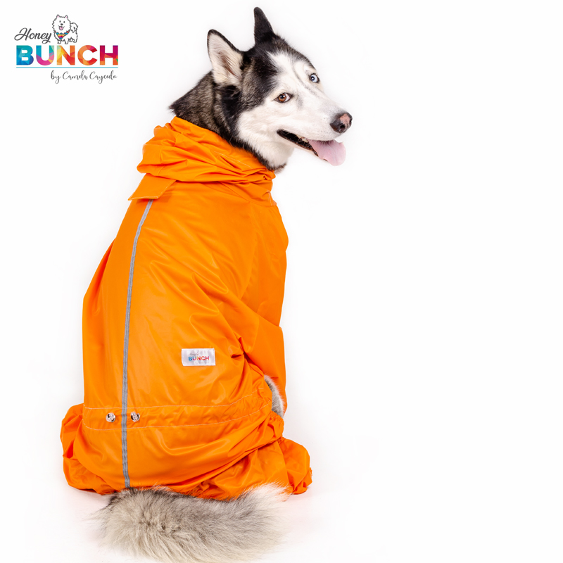 Impermeables para perros - Tienda HoneyBunch