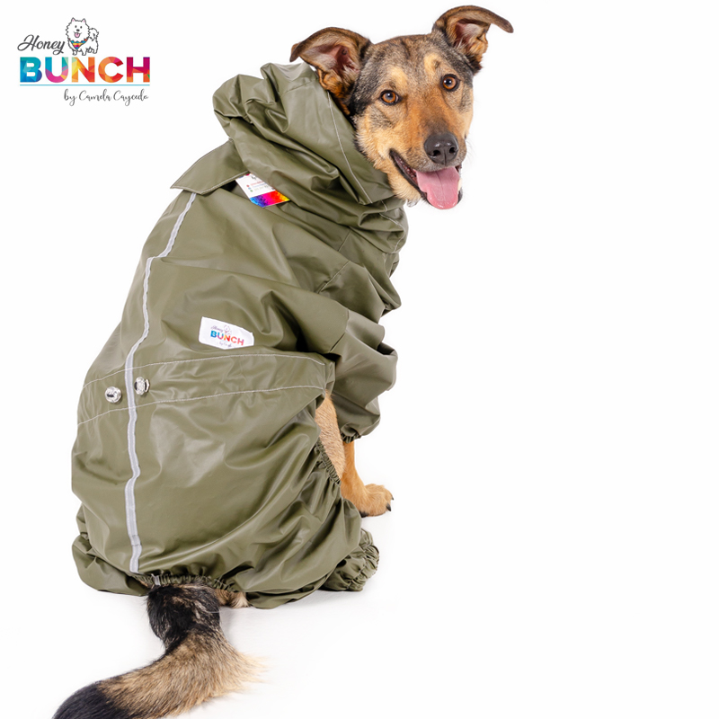 Impermeables para perros - Tienda HoneyBunch